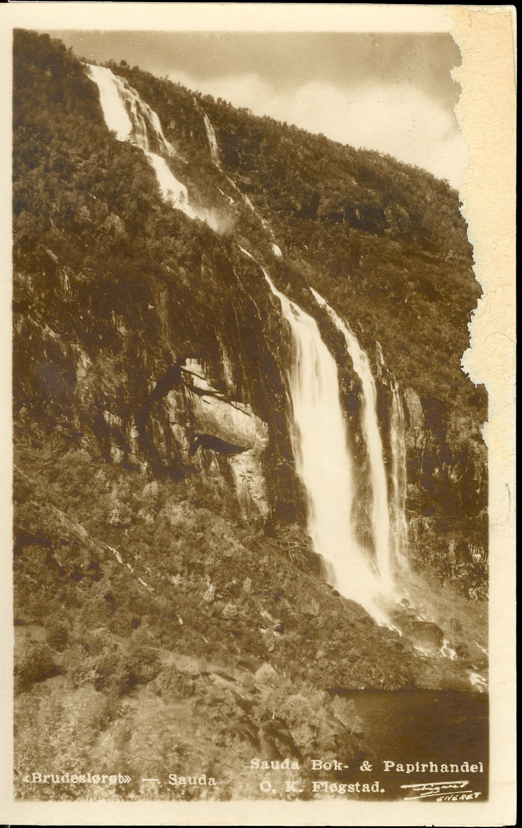 SAUDA-bilder